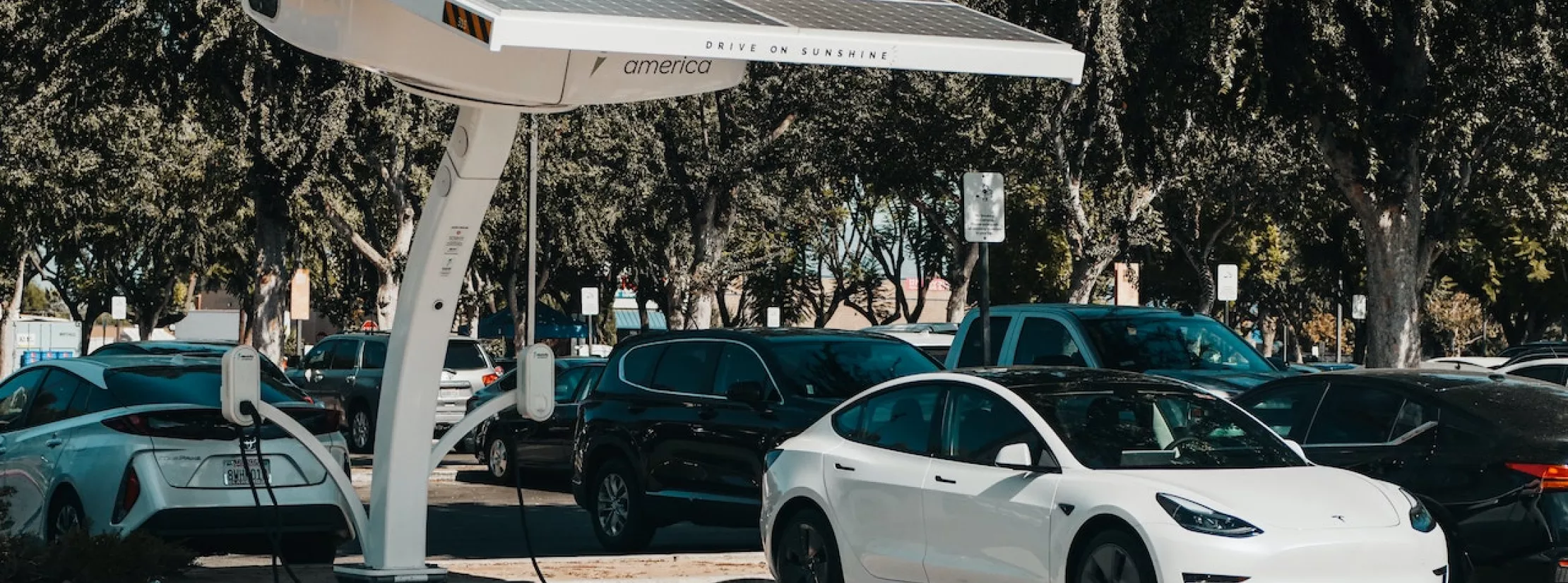 Electric Car Insurance: How Much Does It Cost? | Surex