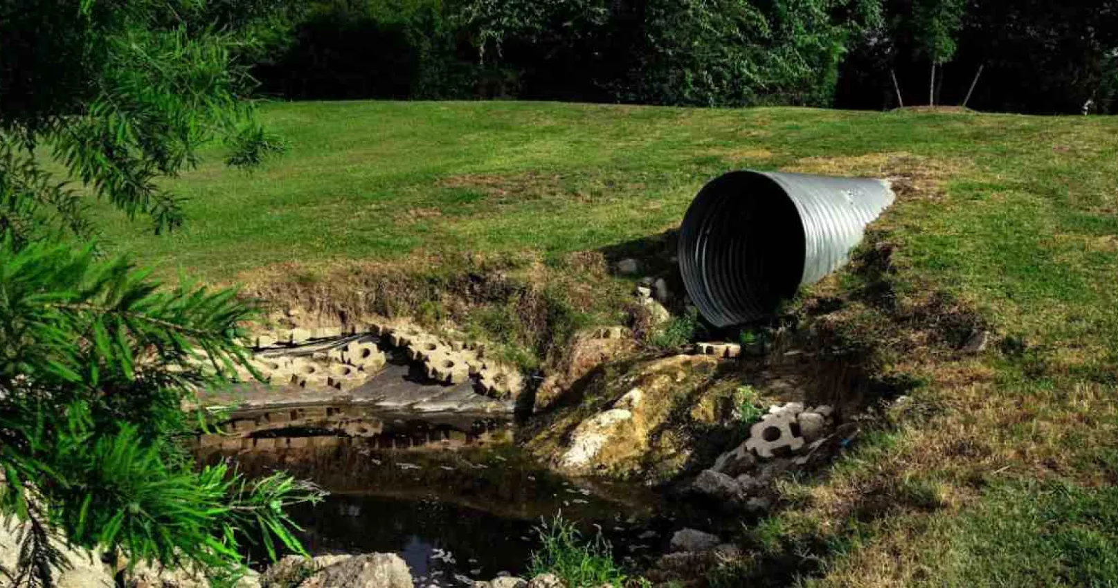 What Is Sewer Backup Coverage And Why Do You Need It | Surex